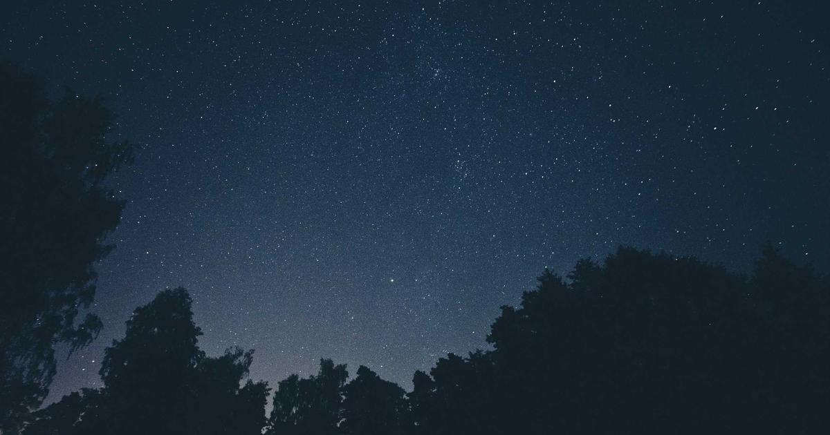 Python Automated EDA Guide 2026: 4 Tools | Python Data Bench